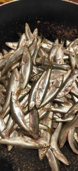 炸小鱼怎么做才酥脆_炸小鱼用什么鱼最好-第2张图片-山城妙识 炸小鱼怎么做才酥脆_炸小鱼用什么鱼最好-第2张图片-山城妙识