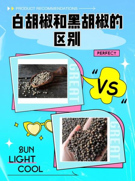 白胡椒和黑胡椒哪个更暖胃_白胡椒和黑胡椒的功效区别-第1张图片-山城妙识 白胡椒和黑胡椒哪个更暖胃_白胡椒和黑胡椒的功效区别-第1张图片-山城妙识