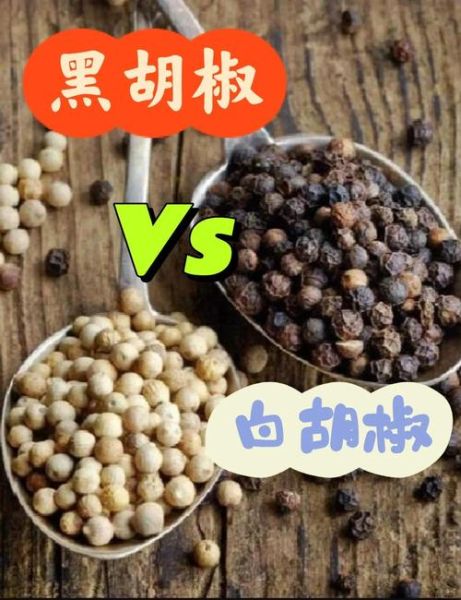 白胡椒和黑胡椒哪个更暖胃_白胡椒和黑胡椒的功效区别-第2张图片-山城妙识 白胡椒和黑胡椒哪个更暖胃_白胡椒和黑胡椒的功效区别-第2张图片-山城妙识