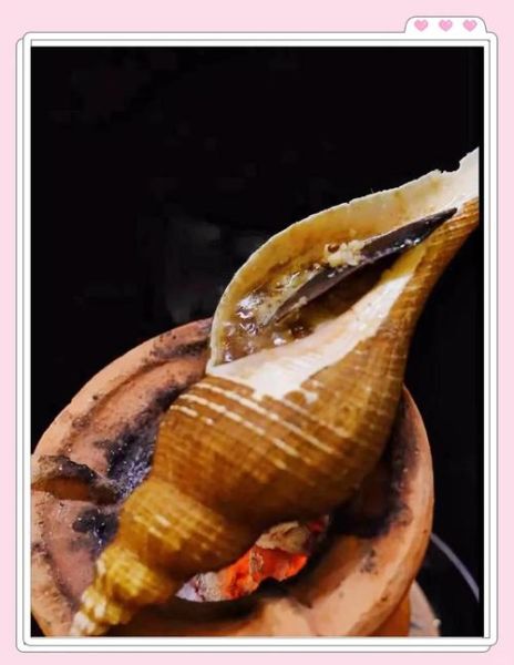 响螺图片_响螺怎么做好吃-第2张图片-山城妙识