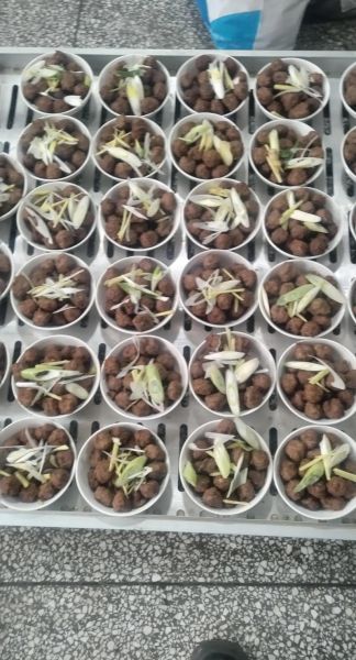 清真八大碗图片_清真八大碗有哪些-第2张图片-山城妙识 清真八大碗图片_清真八大碗有哪些-第2张图片-山城妙识