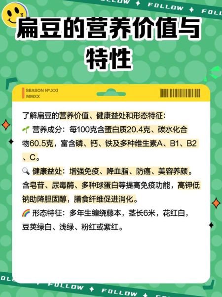 新鲜红扁豆怎么煮_新鲜红扁豆的做法大全-第3张图片-山城妙识 新鲜红扁豆怎么煮_新鲜红扁豆的做法大全-第3张图片-山城妙识