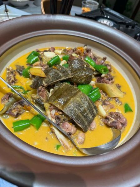 广东焖甲鱼的做法大全_甲鱼怎么焖才入味-第3张图片-山城妙识 广东焖甲鱼的做法大全_甲鱼怎么焖才入味-第3张图片-山城妙识