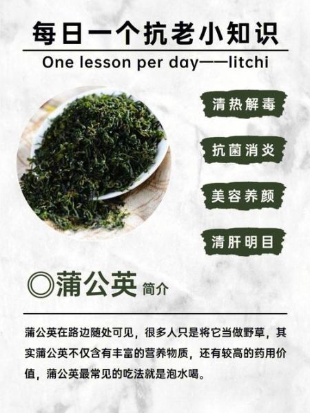 蒲公英泡水喝有什么好处_蒲公英根和叶哪个功效更强-第2张图片-山城妙识 蒲公英泡水喝有什么好处_蒲公英根和叶哪个功效更强-第2张图片-山城妙识