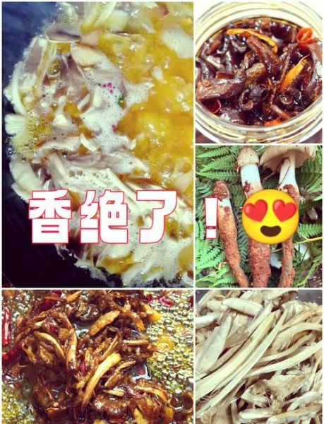 油鸡枞怎么吃_油鸡枞的做法大全-第3张图片-山城妙识 油鸡枞怎么吃_油鸡枞的做法大全-第3张图片-山城妙识