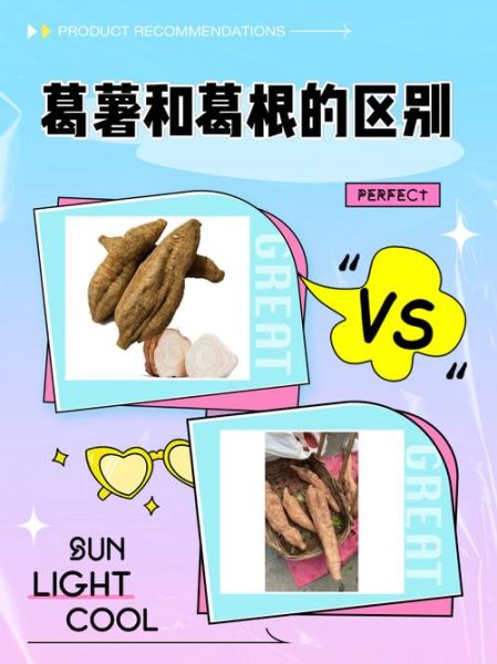 粉葛图片长什么样_粉葛和葛根的区别-第1张图片-山城妙识 粉葛图片长什么样_粉葛和葛根的区别-第1张图片-山城妙识