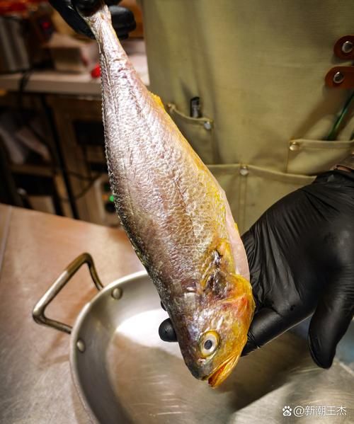 冰冻黄花鱼怎么处理内脏_解冻后去内脏技巧-第1张图片-山城妙识 冰冻黄花鱼怎么处理内脏_解冻后去内脏技巧-第1张图片-山城妙识