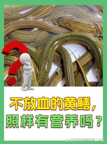 黄鳝壮阳吗_黄鳝补肾效果怎么样-第3张图片-山城妙识 黄鳝壮阳吗_黄鳝补肾效果怎么样-第3张图片-山城妙识