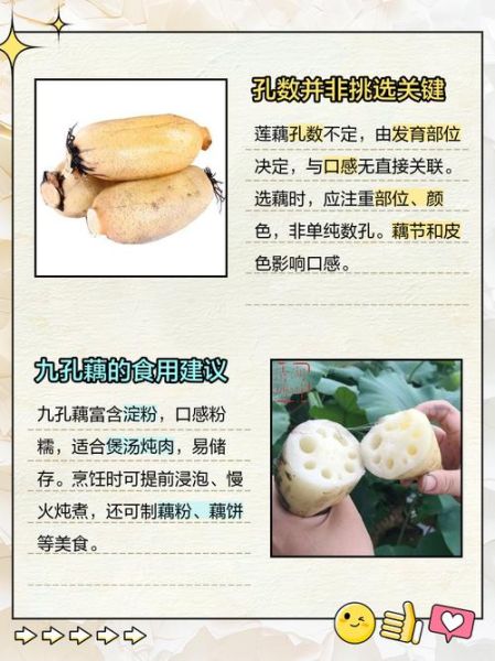 哪些人不能吃藕_吃藕的禁忌人群-第1张图片-山城妙识 哪些人不能吃藕_吃藕的禁忌人群-第1张图片-山城妙识