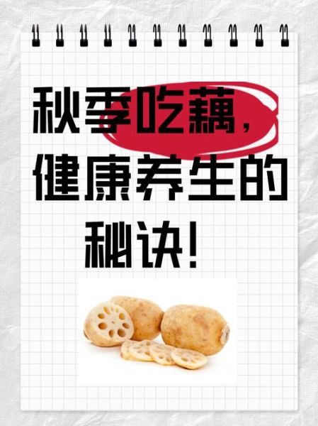 哪些人不能吃藕_吃藕的禁忌人群-第3张图片-山城妙识 哪些人不能吃藕_吃藕的禁忌人群-第3张图片-山城妙识