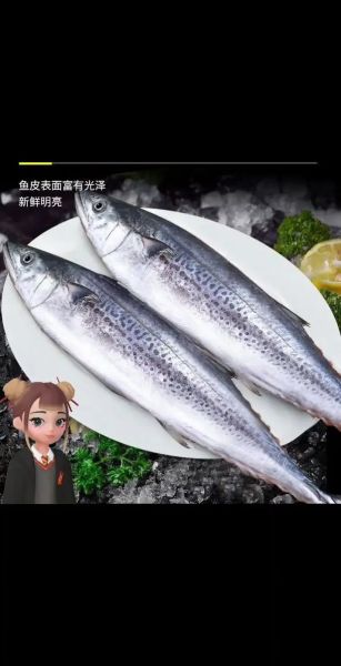 蓝点马鲛鱼多少钱一斤_蓝点马鲛鱼价格行情-第1张图片-山城妙识