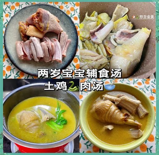 蛇肉炖鸡怎么做_蛇肉炖鸡的做法大全-第3张图片-山城妙识