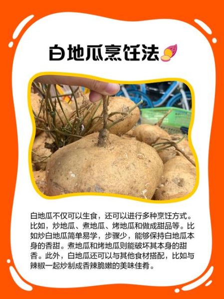 白地瓜怎么做好吃_白地瓜的做法大全-第2张图片-山城妙识 白地瓜怎么做好吃_白地瓜的做法大全-第2张图片-山城妙识