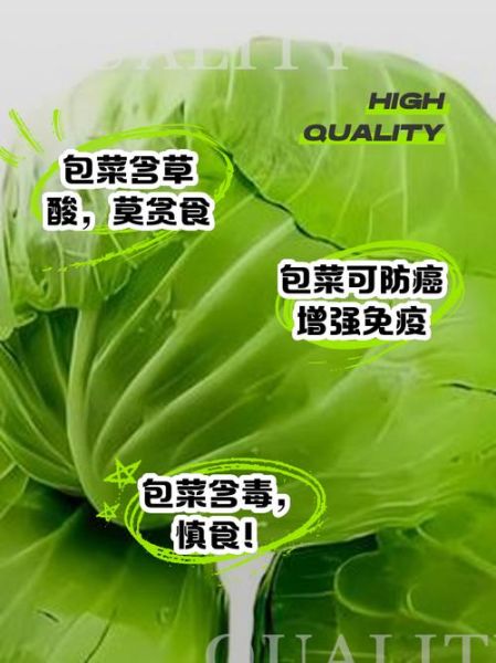 长期吃包菜的害处_包菜吃多了会伤胃吗-第1张图片-山城妙识 长期吃包菜的害处_包菜吃多了会伤胃吗-第1张图片-山城妙识