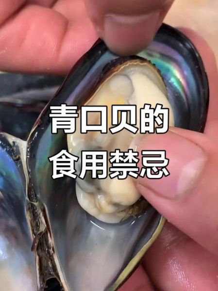 青口贝内脏图高清图_如何分辨可食部分-第1张图片-山城妙识 青口贝内脏图高清图_如何分辨可食部分-第1张图片-山城妙识