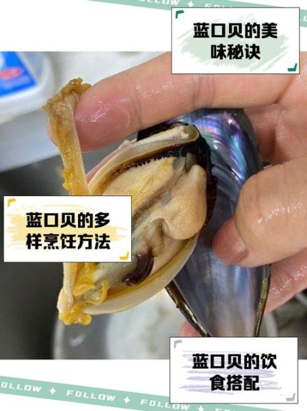 青口贝内脏图高清图_如何分辨可食部分-第2张图片-山城妙识 青口贝内脏图高清图_如何分辨可食部分-第2张图片-山城妙识