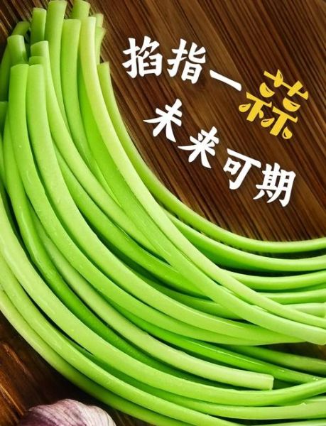 蒜薹的功效与作用_蒜薹怎么吃最营养-第3张图片-山城妙识