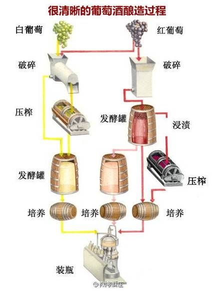 手工酿造葡萄酒步骤_自酿葡萄酒常见问题-第2张图片-山城妙识 手工酿造葡萄酒步骤_自酿葡萄酒常见问题-第2张图片-山城妙识