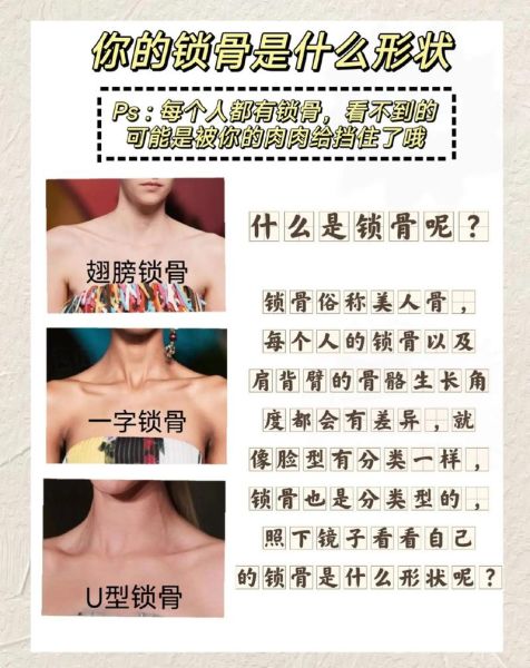 叉骨是什么_叉骨和锁骨区别-第3张图片-山城妙识 叉骨是什么_叉骨和锁骨区别-第3张图片-山城妙识