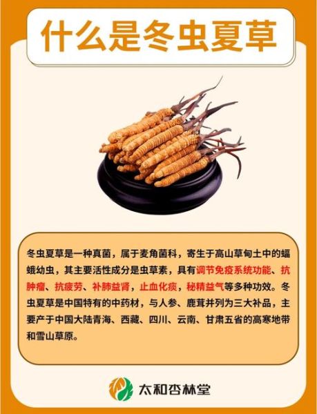 冬虫夏草有什么作用_冬虫夏草适合什么人吃-第1张图片-山城妙识 冬虫夏草有什么作用_冬虫夏草适合什么人吃-第1张图片-山城妙识