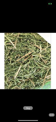 苜蓿干草价格多少钱一吨_苜蓿干草怎么喂牛最好-第1张图片-山城妙识 苜蓿干草价格多少钱一吨_苜蓿干草怎么喂牛最好-第1张图片-山城妙识