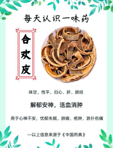 合欢皮的功效与作用_合欢皮禁忌有哪些-第1张图片-山城妙识 合欢皮的功效与作用_合欢皮禁忌有哪些-第1张图片-山城妙识