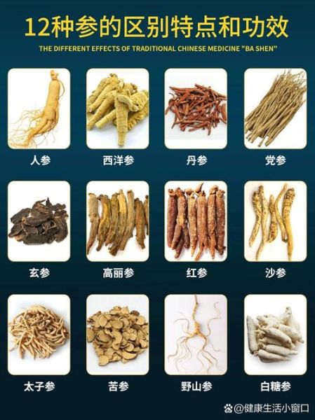 花旗参是西洋参吗_两者区别与功效-第3张图片-山城妙识 花旗参是西洋参吗_两者区别与功效-第3张图片-山城妙识