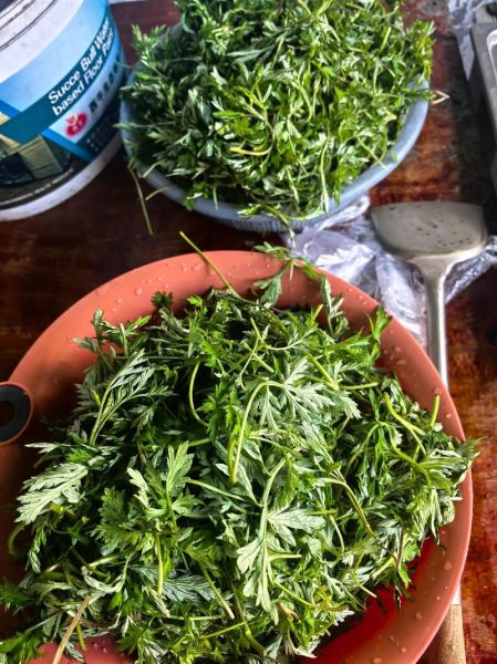 艾草青团怎么做_青团皮不破的秘诀-第3张图片-山城妙识