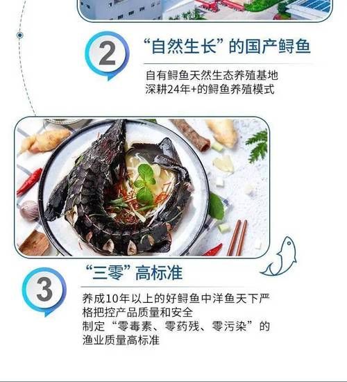 养殖鲟鱼多少钱一斤_鲟鱼养殖成本利润-第1张图片-山城妙识