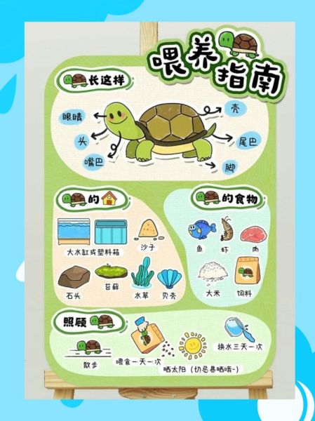 乌龟怎么养_乌龟吃什么食物-第3张图片-山城妙识 乌龟怎么养_乌龟吃什么食物-第3张图片-山城妙识
