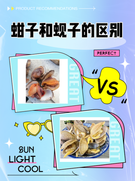 蛤蜊和蚬子的区别_哪个更鲜美-第1张图片-山城妙识