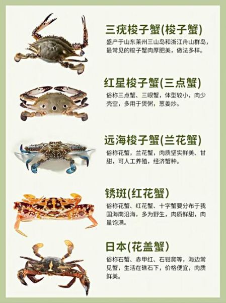 宠物螃蟹怎么养_淡水蟹有哪些品种-第2张图片-山城妙识 宠物螃蟹怎么养_淡水蟹有哪些品种-第2张图片-山城妙识