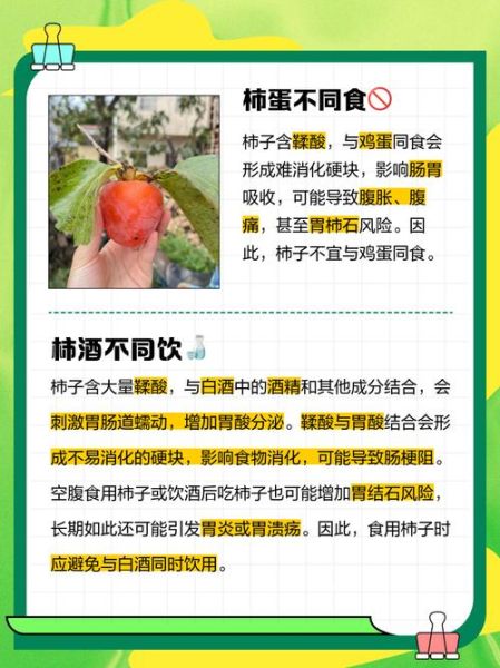 柿子不能和什么一起吃_结石风险有哪些-第2张图片-山城妙识 柿子不能和什么一起吃_结石风险有哪些-第2张图片-山城妙识
