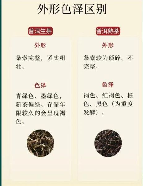 普洱茶有哪些种类_生普与熟普区别-第2张图片-山城妙识