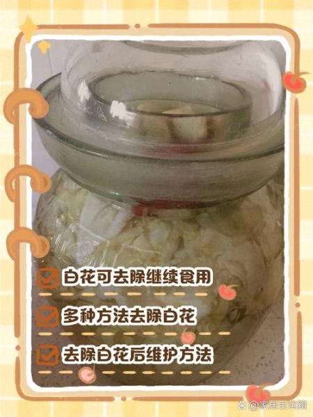 泡菜坛子生花怎么办_泡菜长白膜还能吃吗-第2张图片-山城妙识 泡菜坛子生花怎么办_泡菜长白膜还能吃吗-第2张图片-山城妙识