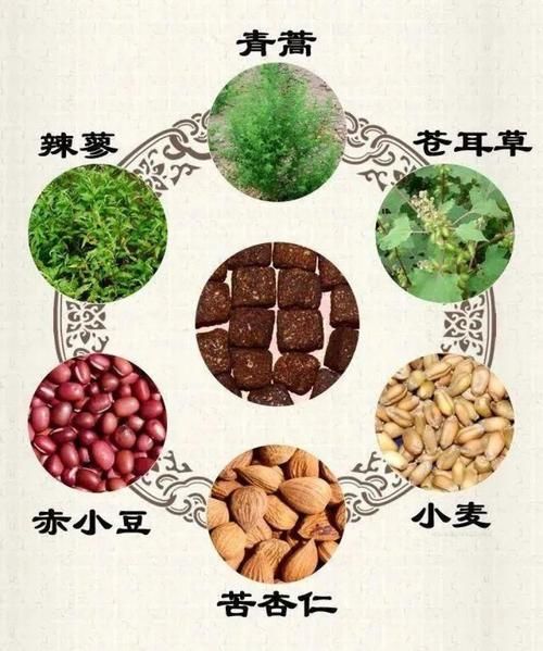 六神曲的功效与作用_六神曲的副作用有哪些-第2张图片-山城妙识 六神曲的功效与作用_六神曲的副作用有哪些-第2张图片-山城妙识