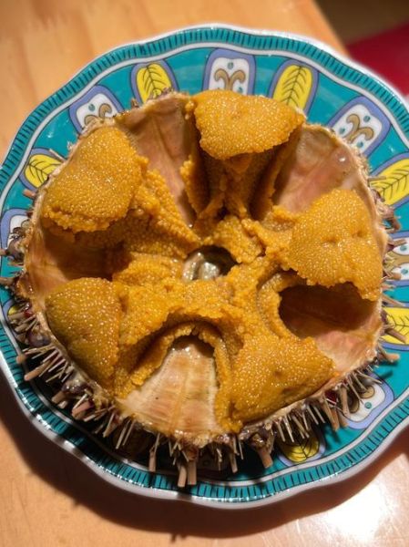 海胆黄酱怎么吃_海胆黄酱的吃法大全-第3张图片-山城妙识 海胆黄酱怎么吃_海胆黄酱的吃法大全-第3张图片-山城妙识