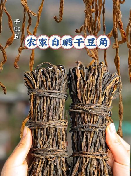 干豆角怎么晒好吃_干豆角晒制技巧-第3张图片-山城妙识 干豆角怎么晒好吃_干豆角晒制技巧-第3张图片-山城妙识