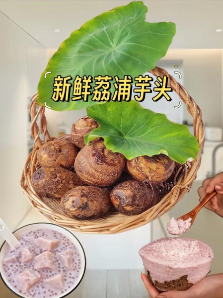 广西荔浦芋头怎么做好吃_荔浦芋头蒸多久才软糯-第2张图片-山城妙识 广西荔浦芋头怎么做好吃_荔浦芋头蒸多久才软糯-第2张图片-山城妙识