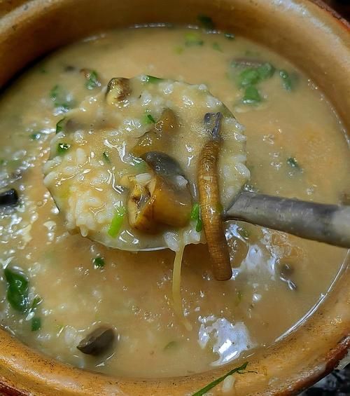 黄鳝粥的做法_黄鳝粥的功效与作用-第1张图片-山城妙识 黄鳝粥的做法_黄鳝粥的功效与作用-第1张图片-山城妙识