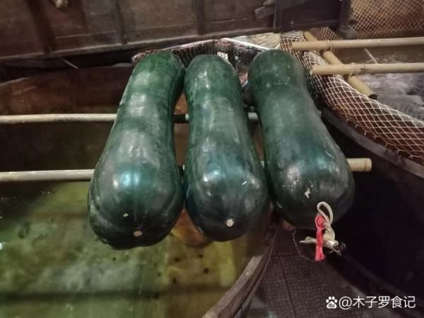 广西节瓜图片_节瓜和冬瓜的区别-第2张图片-山城妙识 广西节瓜图片_节瓜和冬瓜的区别-第2张图片-山城妙识