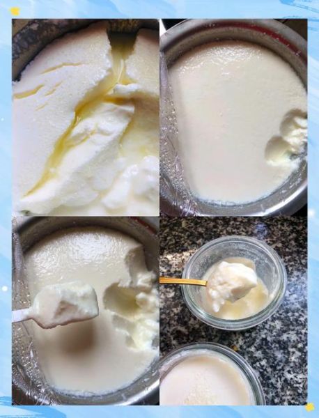 自制酸奶怎么做_酸奶机做酸奶的详细步骤-第1张图片-山城妙识 自制酸奶怎么做_酸奶机做酸奶的详细步骤-第1张图片-山城妙识