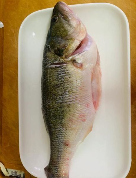 清蒸鲈鱼正宗做法步骤_蒸几分钟口感最嫩-第2张图片-山城妙识 清蒸鲈鱼正宗做法步骤_蒸几分钟口感最嫩-第2张图片-山城妙识