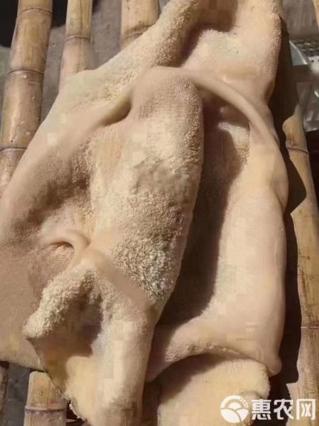 牛肚怎么煮才烂_牛肚煮多久才软-第3张图片-山城妙识