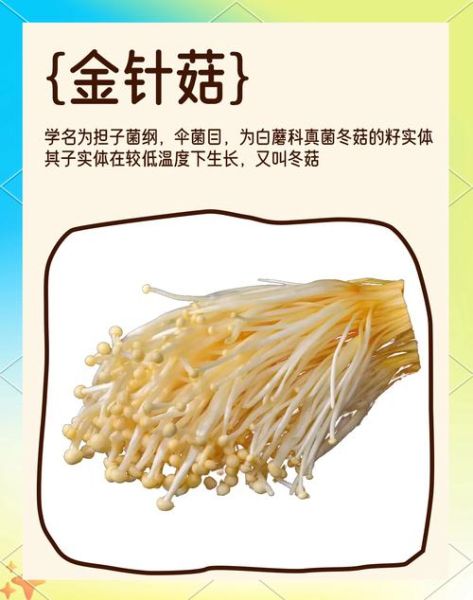 银针菇和金针菇的区别_哪个营养价值更高-第3张图片-山城妙识 银针菇和金针菇的区别_哪个营养价值更高-第3张图片-山城妙识