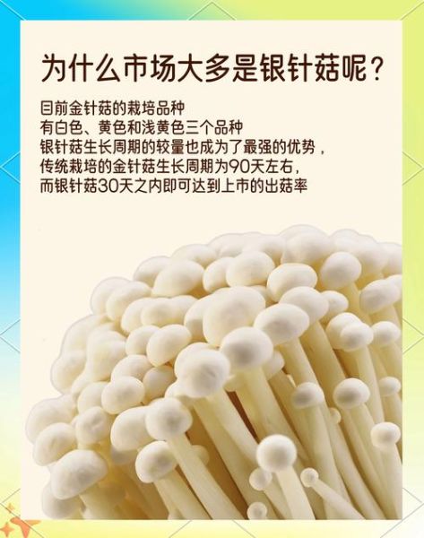 银针菇和金针菇的区别_哪个营养价值更高-第2张图片-山城妙识 银针菇和金针菇的区别_哪个营养价值更高-第2张图片-山城妙识