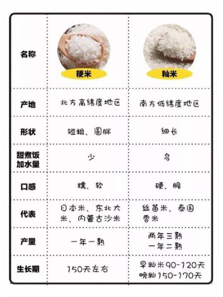 粳米是大米吗_粳米与籼米区别-第1张图片-山城妙识 粳米是大米吗_粳米与籼米区别-第1张图片-山城妙识