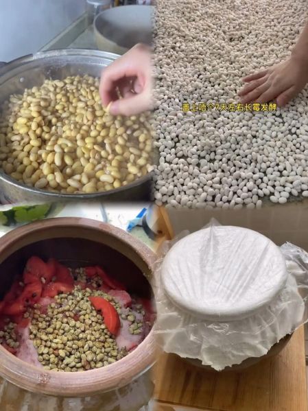 不用晒的西瓜黄豆酱怎么做_西瓜黄豆酱不晒会坏吗-第3张图片-山城妙识