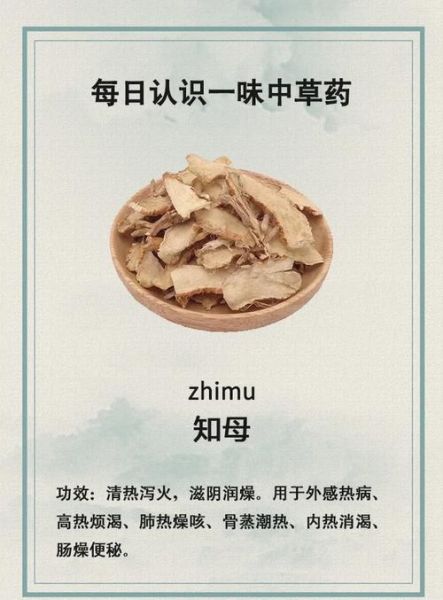 知母长什么样_知母图片怎么辨别真假-第3张图片-山城妙识 知母长什么样_知母图片怎么辨别真假-第3张图片-山城妙识