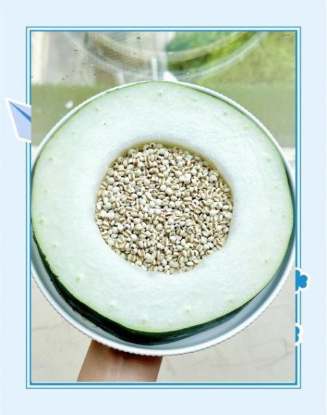 薏米冬瓜汤能减肥吗_薏米冬瓜汤的功效与作用-第2张图片-山城妙识